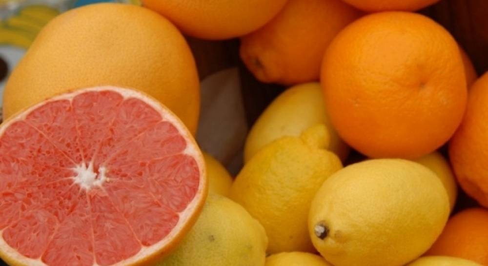 Russia starts buying fruit, vegetable from Syria