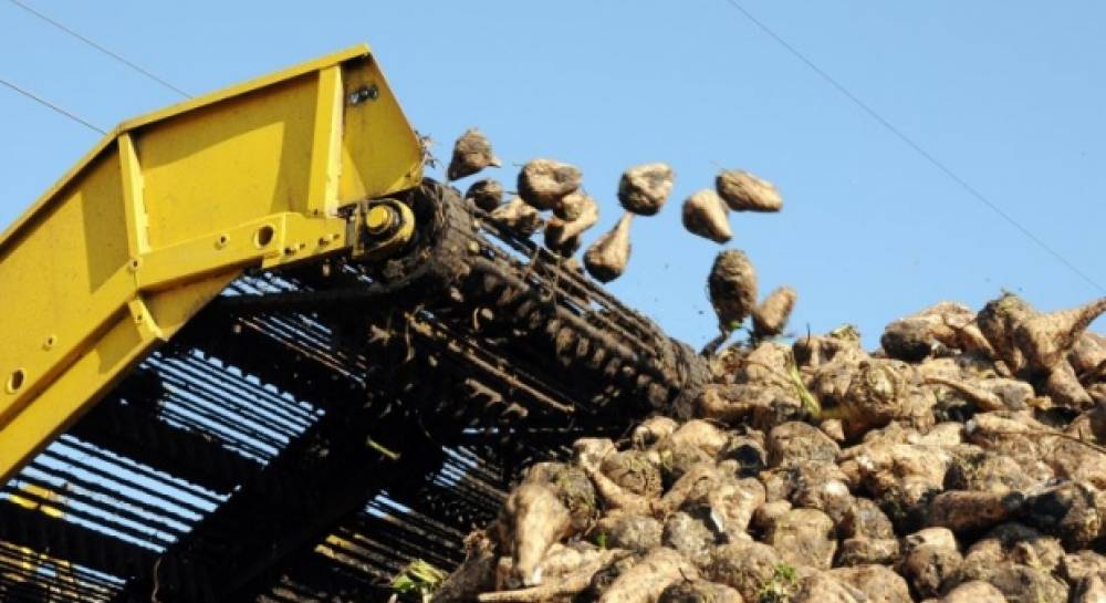 Agriculture - Ukrainian farmers gather 95% of grain harvest — UNIAN