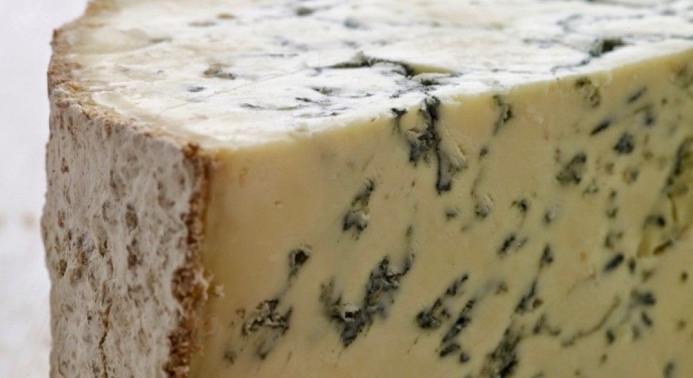 The Moscow Times: Russian cheese imports up for first time since embargo