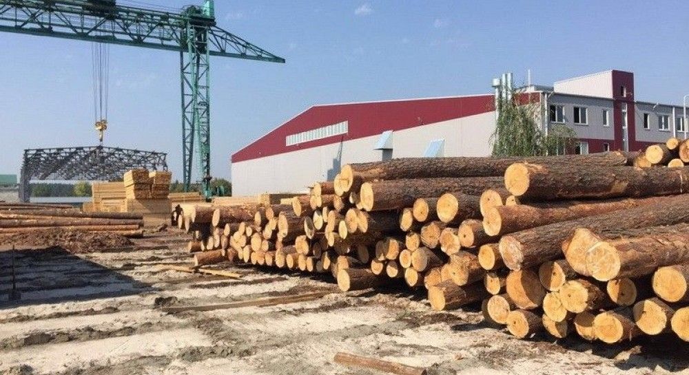 Expert warns EU may sue Ukraine for ban on timber exports | UNIAN