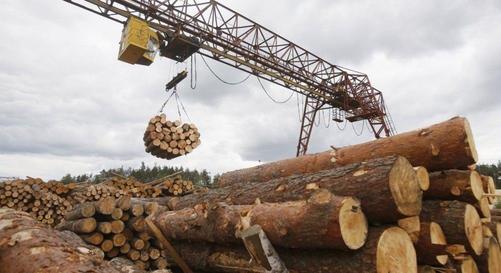 No more timber exports from Ukraine | UNIAN