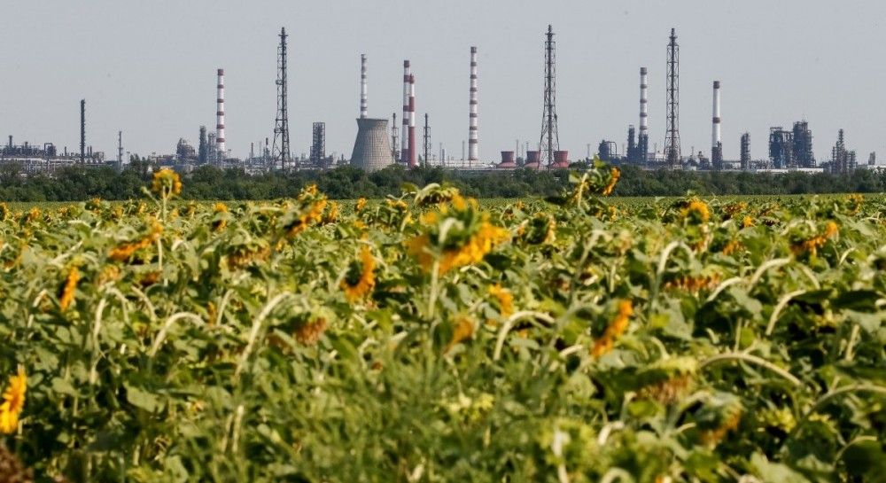 Ukraine builds brand new plant for seed production in Zhytomyr region ...