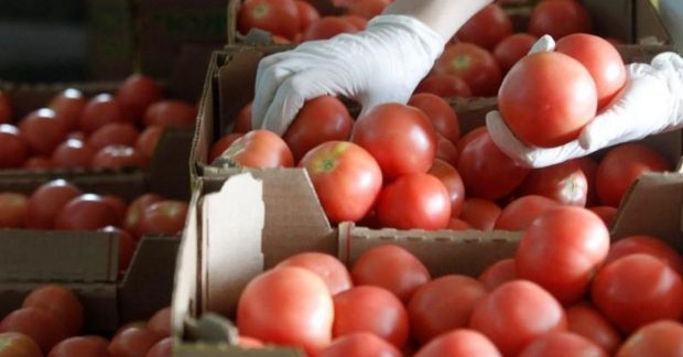 Ukraine's Dragon Capital sells Chumak food producer to Delta Wilmar