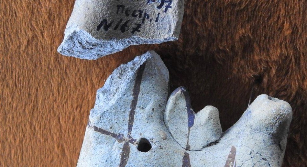 Ancient ceramic "gadgets" - UNIAN Photoreport