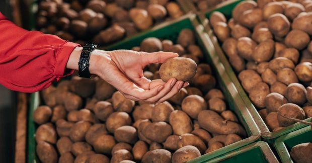 Сколько стоит 1 кг картофеля в Украине - эксперт объяснил, будет ли ...