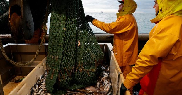 Economy - Ukraine boosts commercial fishing by 1.5 times in first four ...