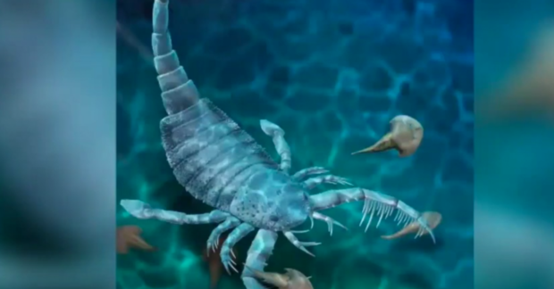 Ученые нашли окаменелости морского чудовища, жившего 435 миллионов лет ...