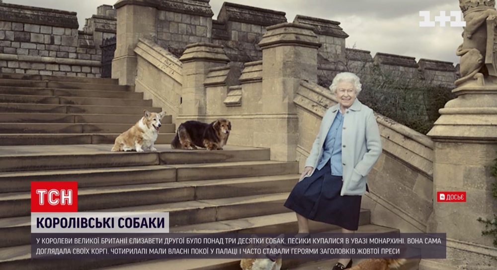 - News of Ukraine | Video report UNIAN