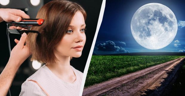 Лунный календарь стрижек на ноябрь 2023 удачные и неудачные дни — УНИАН