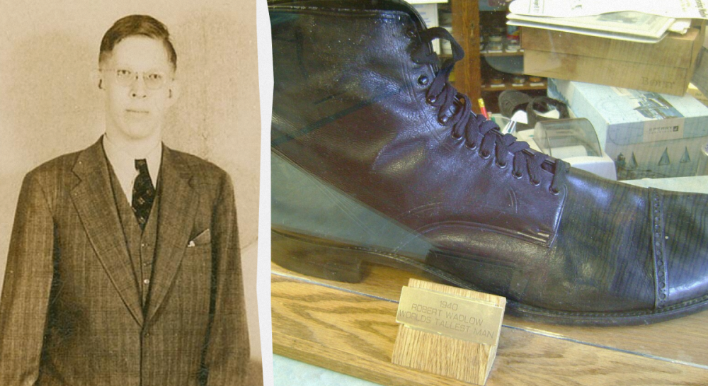 Люди-великаны - какой самый высокий человек в мире