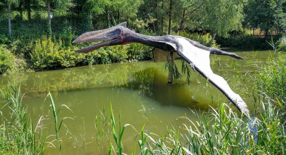 Знахідки динозаврів - у США виявили новий вид ранніх птерозаврів